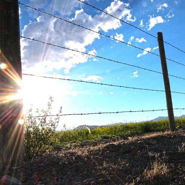 Barbed Wires, Galvanized Fence In Turkey